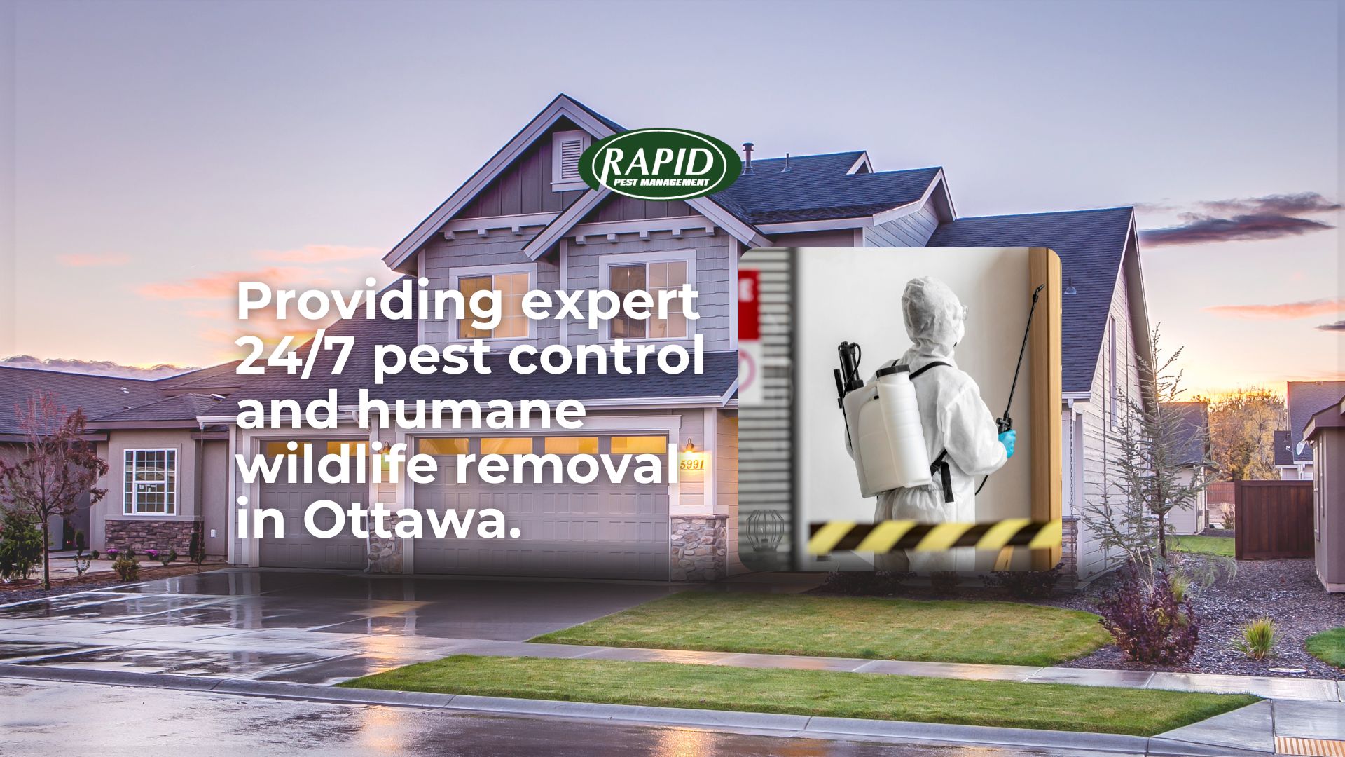 Our Pest Control Services in Ottawa | Rapid Pest Management